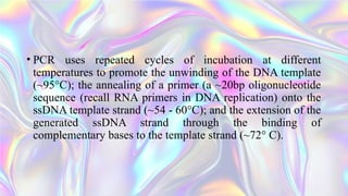 PCR AMPLIFICATION lesson plan objec.pptx