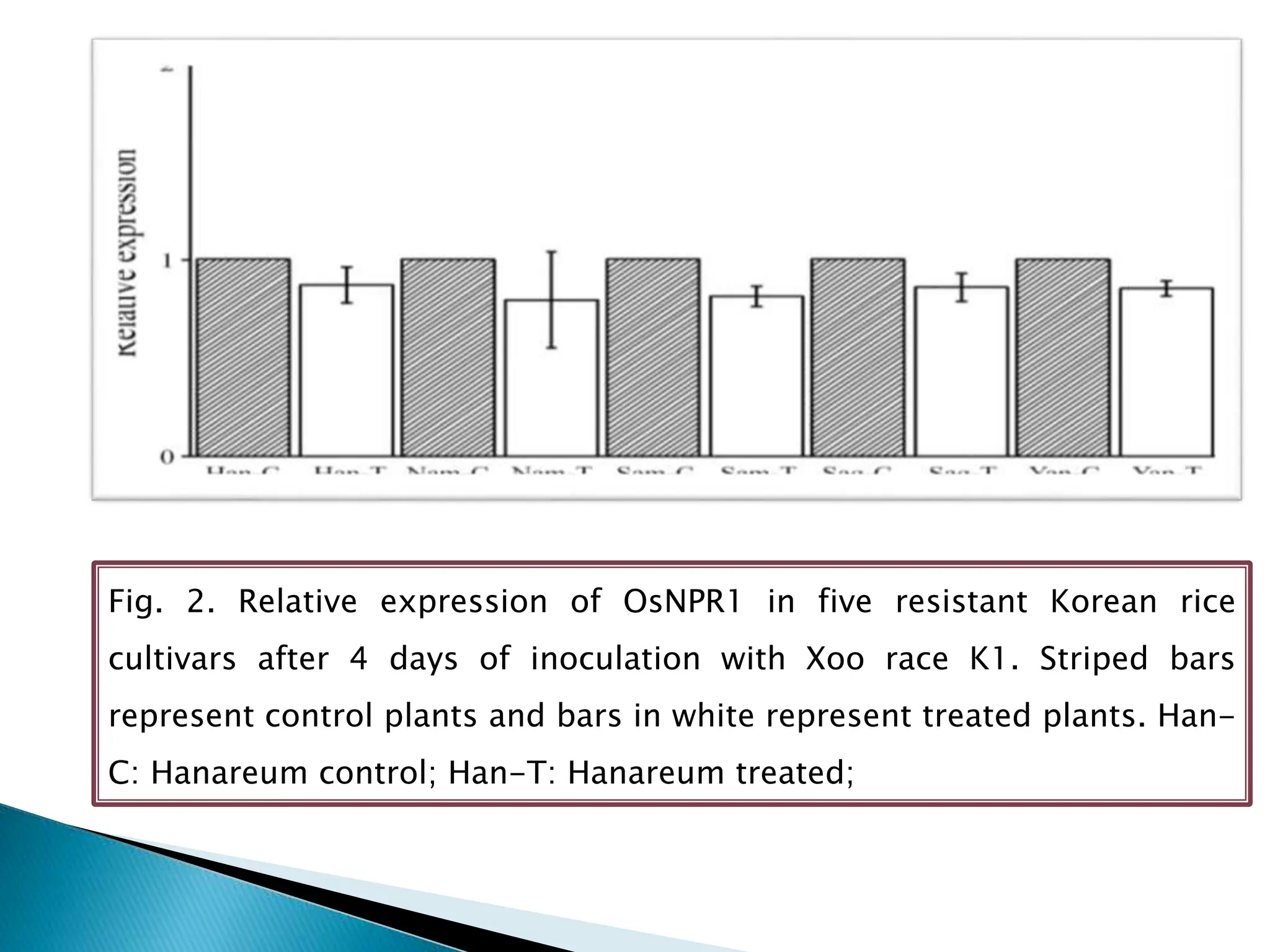 PCR and it is different types.pptx