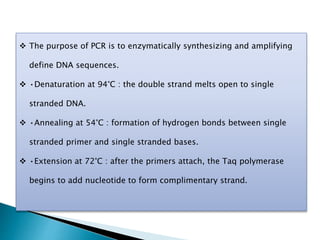 PCR and it is different types.pptx