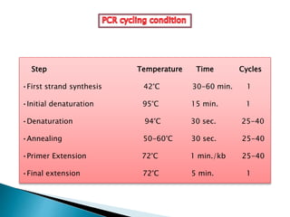 PCR and it is different types.pptx