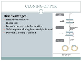 Pcr and its application | PPTX