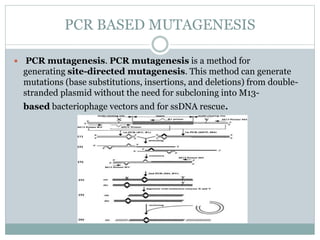 Pcr and its application | PPTX