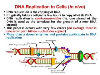 Pcr and its applications | PPT