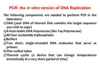 pcr and its applications in biotechnology | PPT
