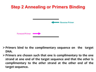 pcr and its applications in biotechnology | PPT