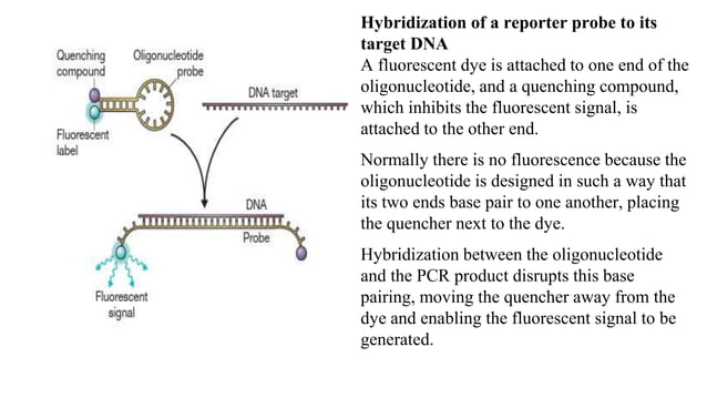 _PCR and its different types.pptx | Chemistry | Science