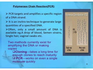 PCR AND ITS TYPE | PPTX