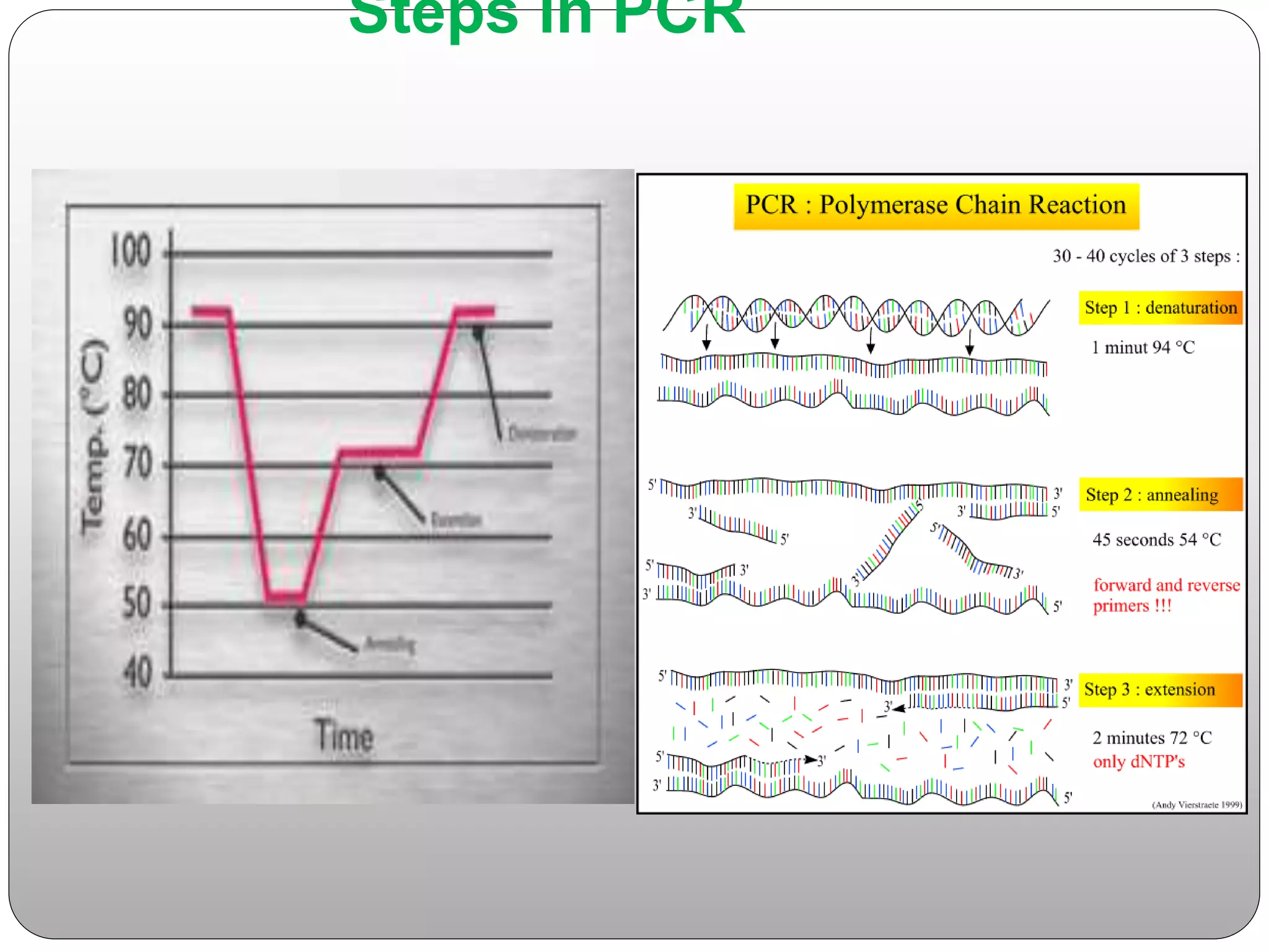 Pcr and its types | PPTX