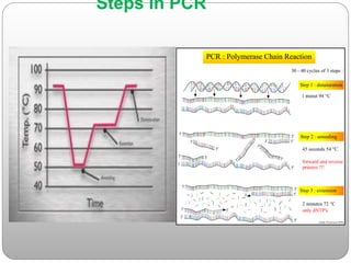 Pcr and its types | PPTX