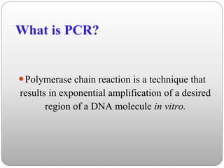 Pcr and its types | PPTX