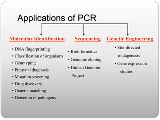 Pcr and its types | PPTX