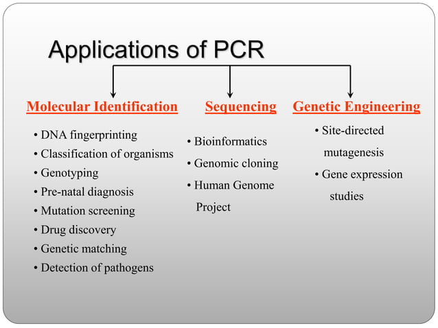 Pcr and its types | PPTX