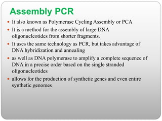 Pcr and its types | PPTX