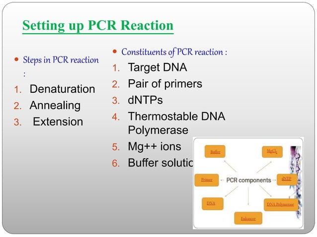 Pcr and its types | PPTX