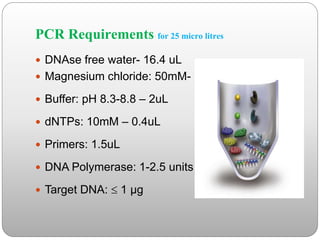 Pcr and its types | PPTX