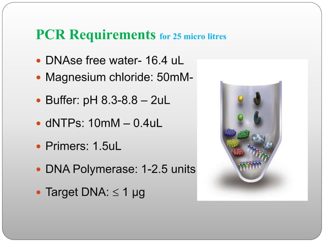 Pcr and its types | PPTX