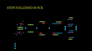 Pcr and its types | PPTX