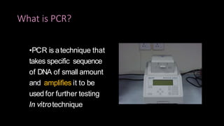 Pcr and its types | PPTX