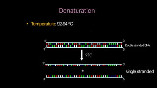 Pcr and its types | PPTX