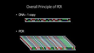 Pcr and its types | PPTX