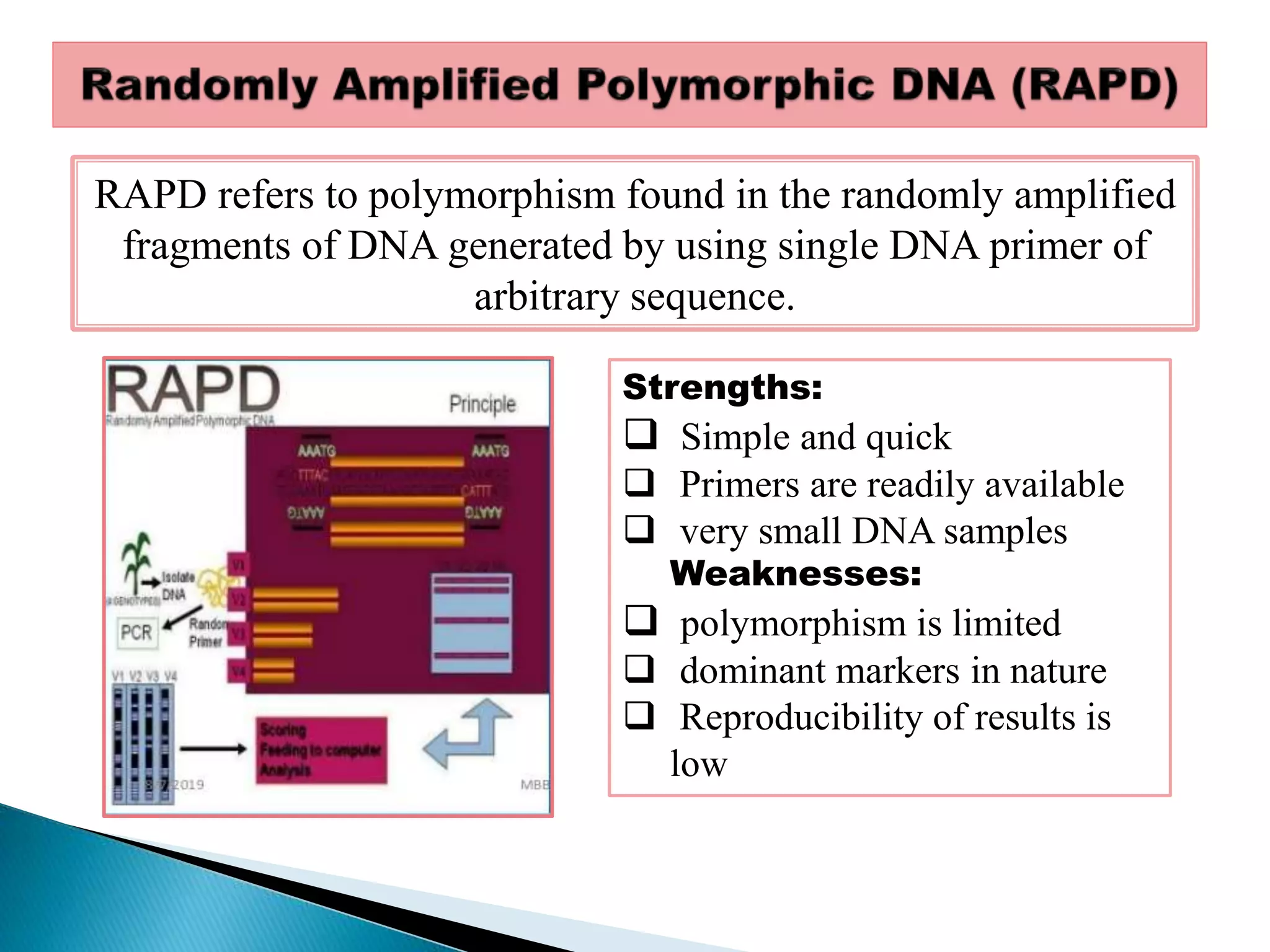 PCR and Non PCR based molecular markers | PPTX