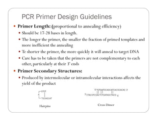 PCR and Primer design[604].pdf