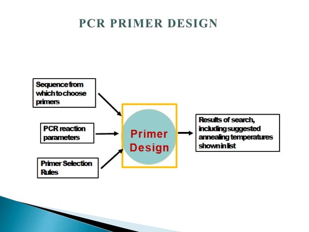 Pcr and primer designing | PPTX