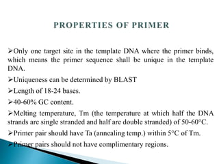 Pcr and primer designing | PPTX