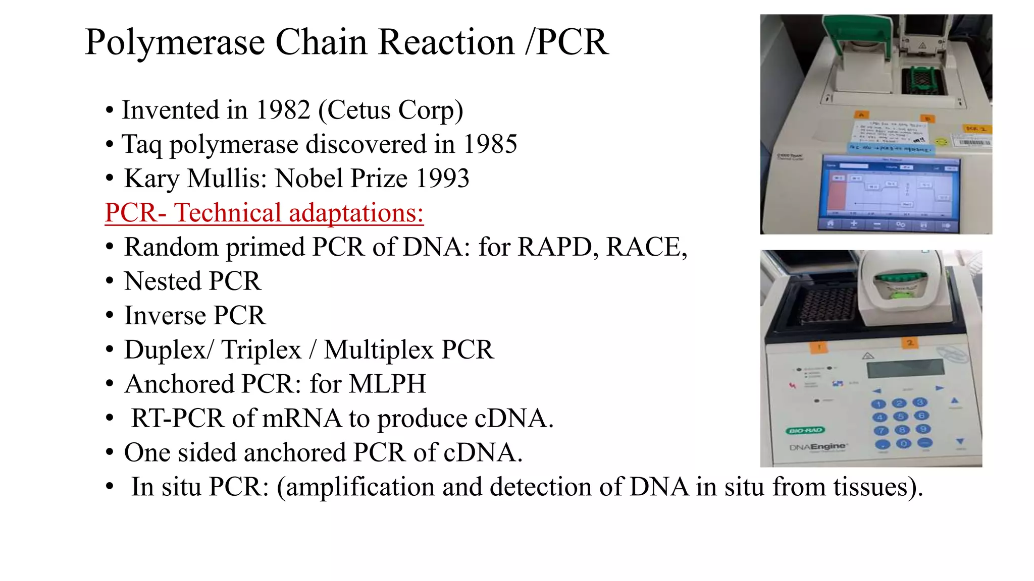 PCR and primer design techniques | PPTX