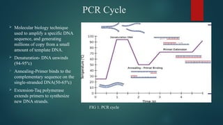 PCR and Primer Design to biotechwarriors.pptx