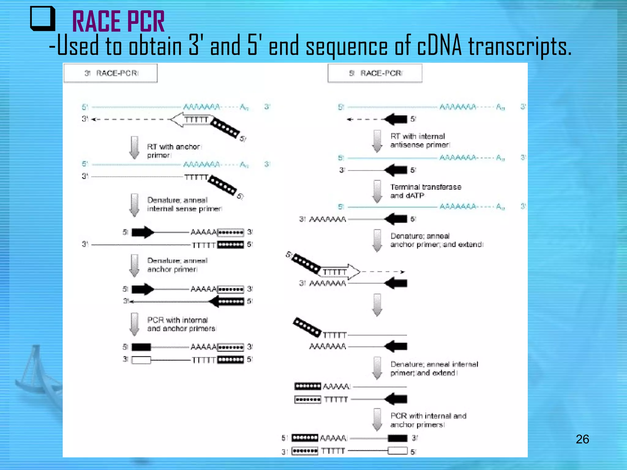 PCR and its types | PPT