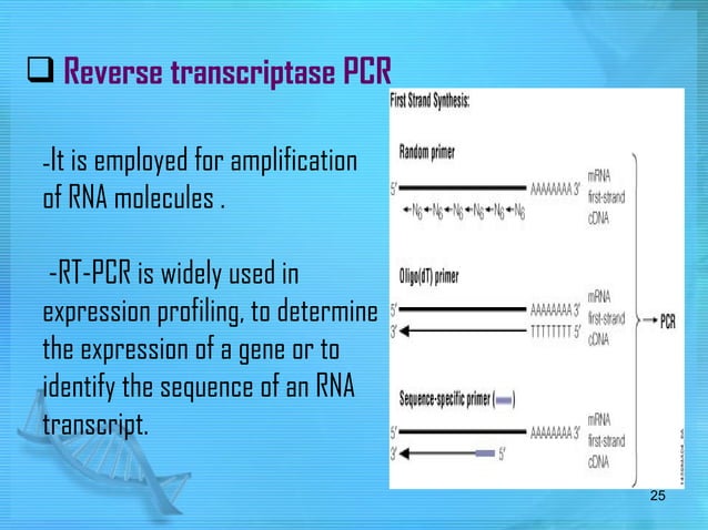PCR and its types