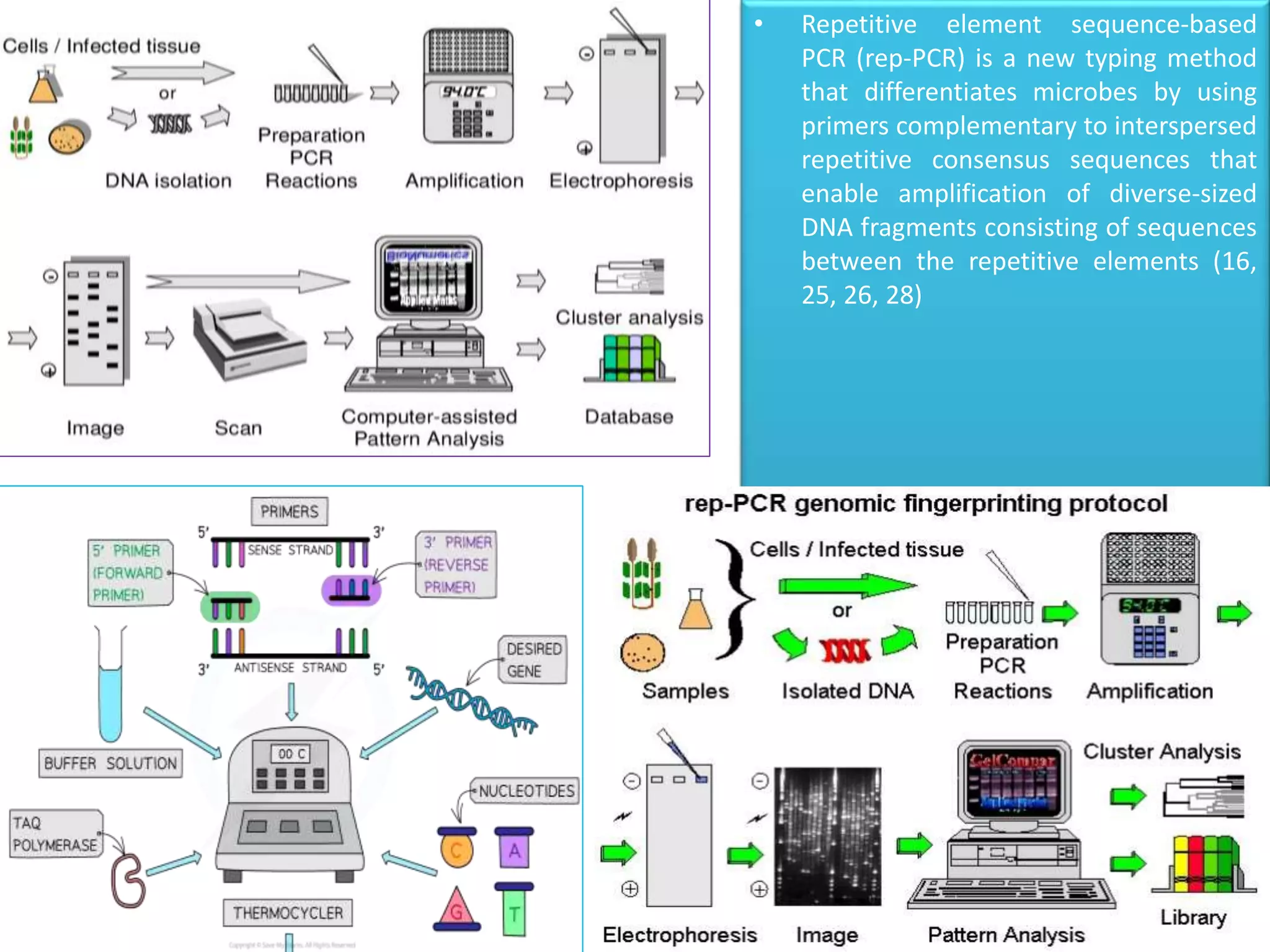 PCR applications.pptx