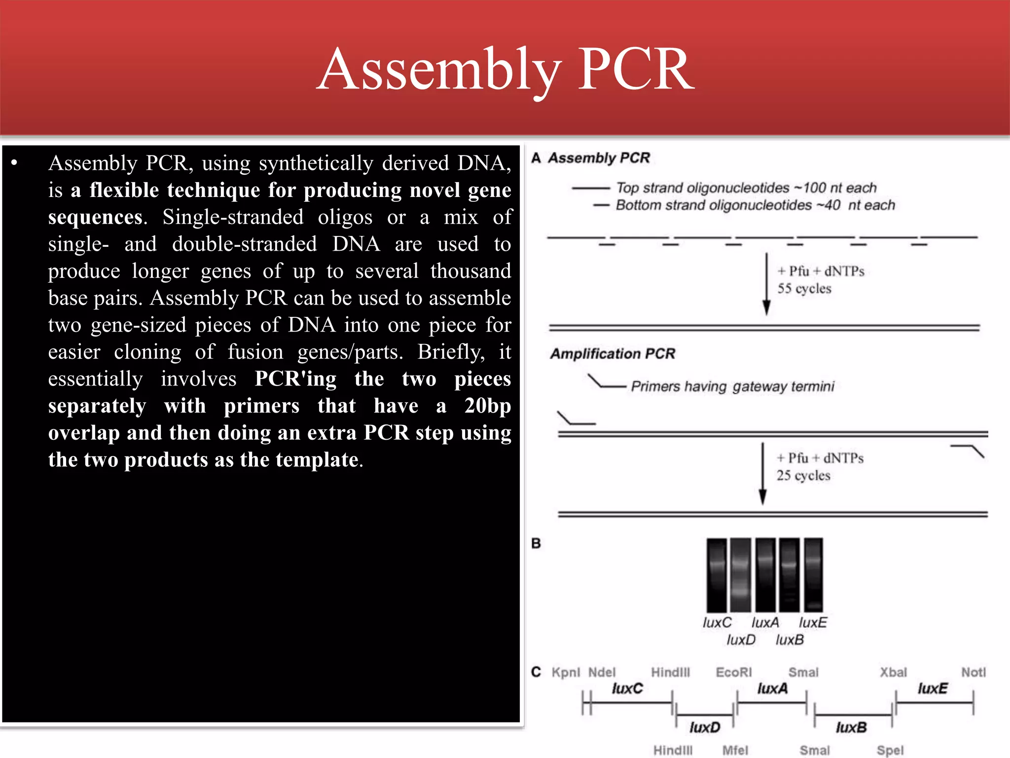 PCR applications.pptx
