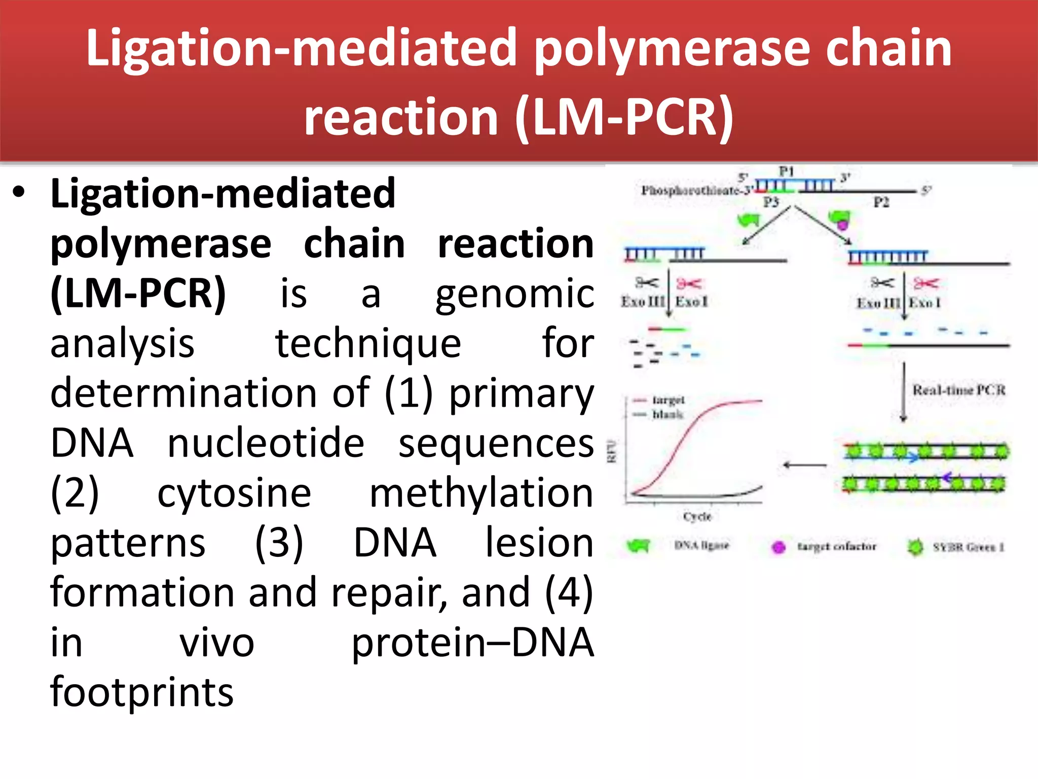 PCR applications.pptx