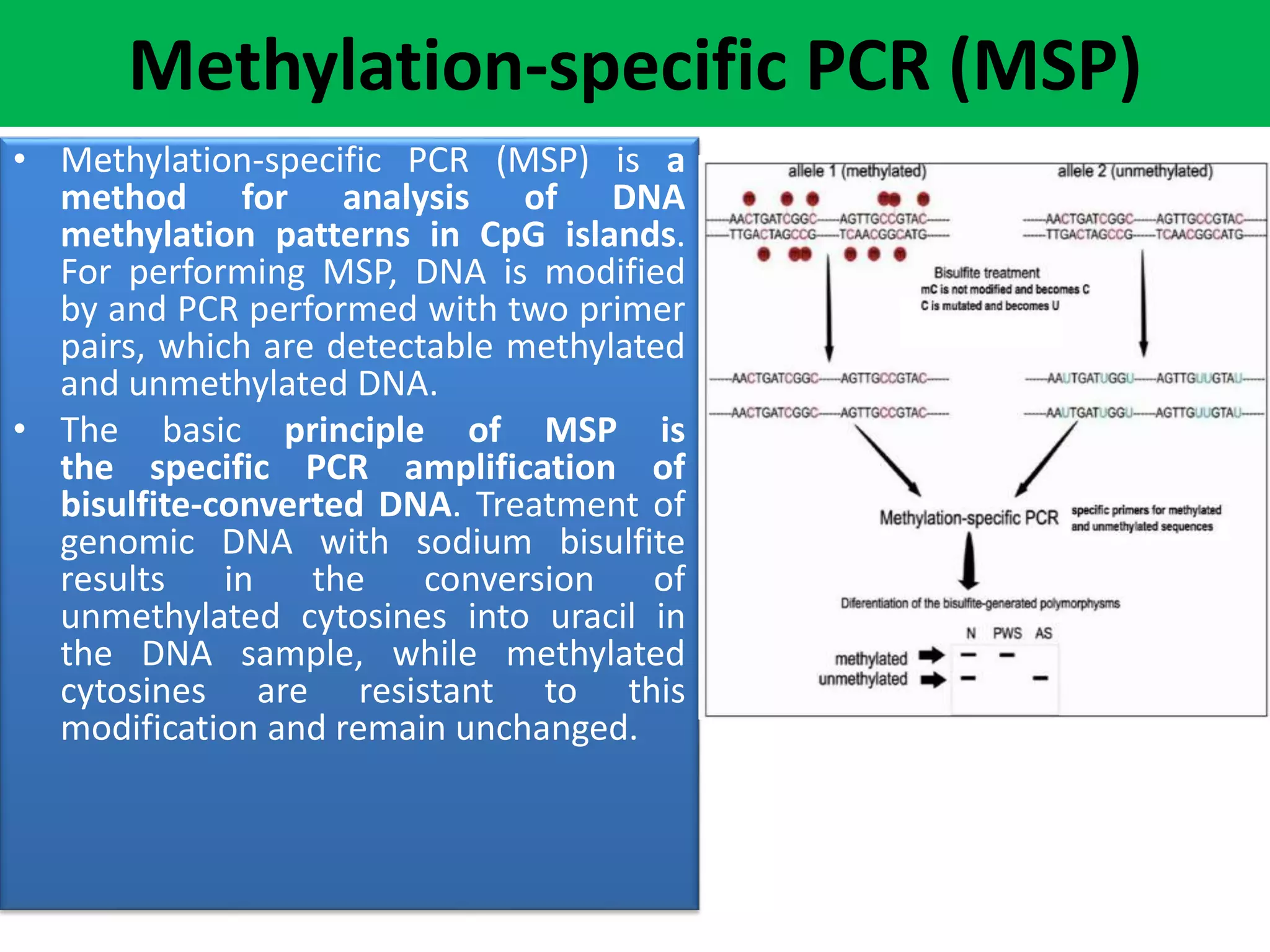 PCR applications.pptx