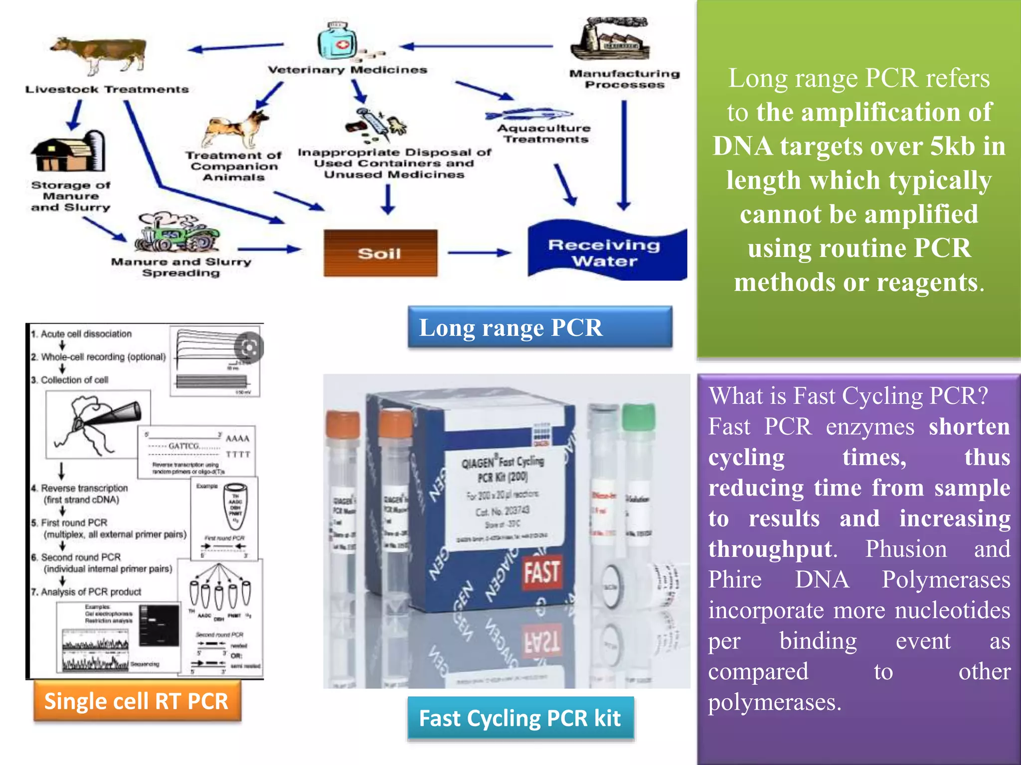 PCR applications.pptx