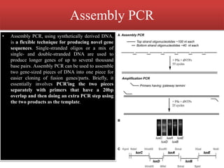 PCR applications.pptx
