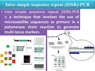 PCR applications.pptx