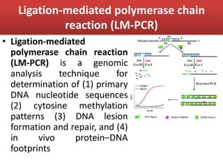 PCR applications.pptx