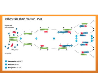 PCR applications.pptx
