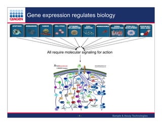 Pcr array 2013 | PPT