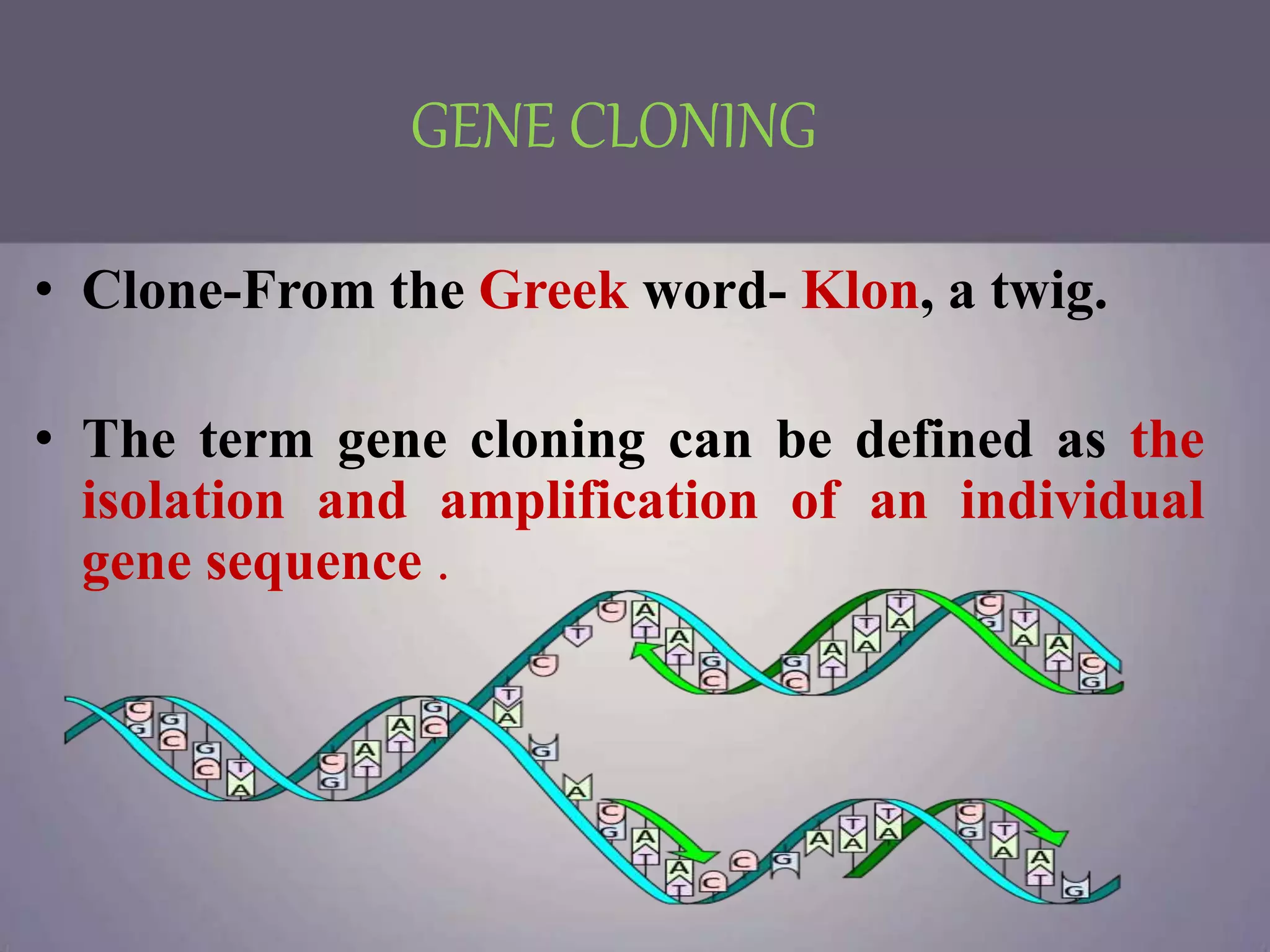 Pcr based gene cloning | PPTX