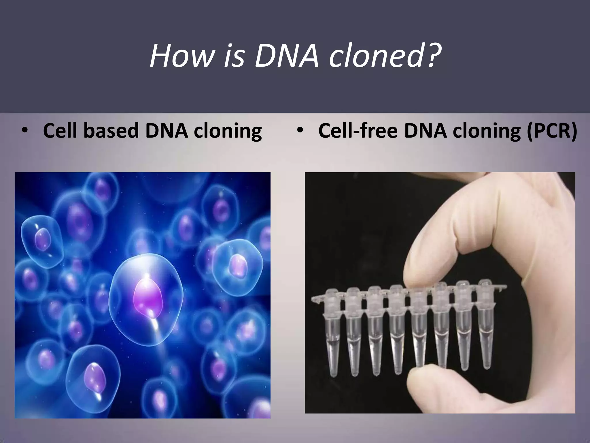 Pcr based gene cloning | PPTX