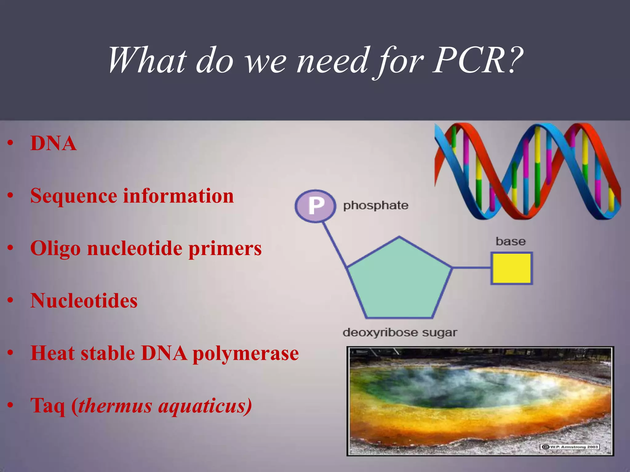Pcr based gene cloning | PPTX