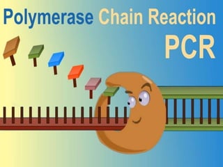 Pcr based gene cloning | PPTX
