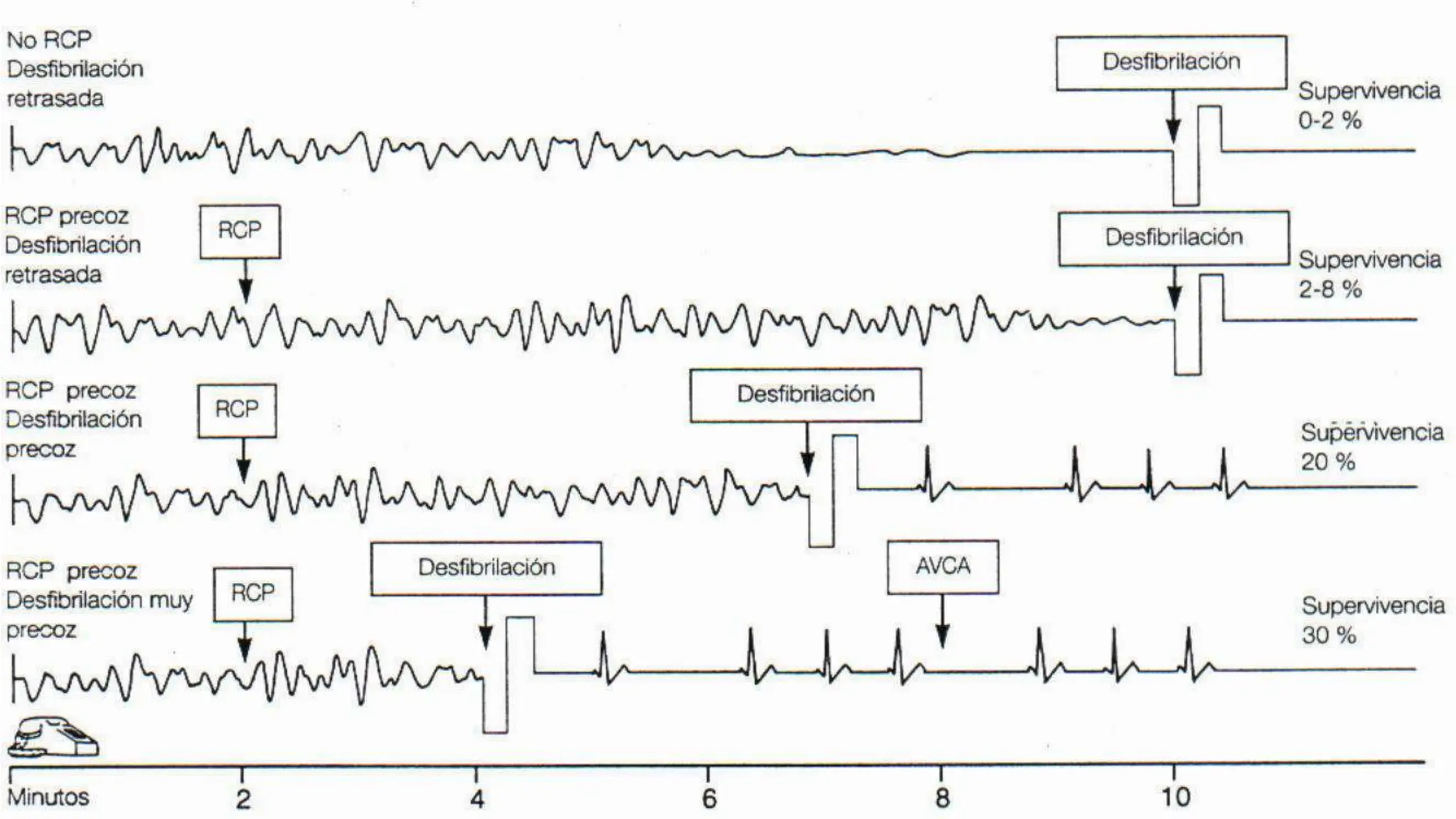 RCP - Básico. Reanimación Cardiopulmonar Básica | PPT