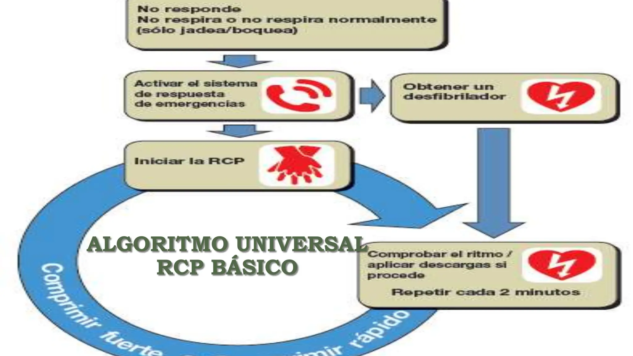 RCP - Básico. Reanimación Cardiopulmonar Básica | PPT