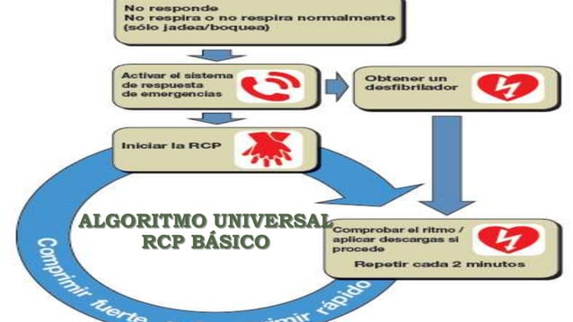 RCP - Básico. Reanimación Cardiopulmonar Básica | PPT