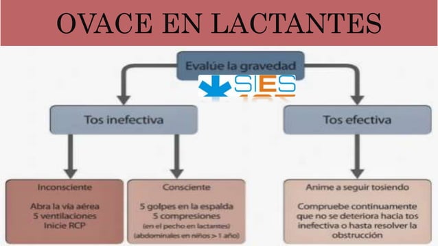 RCP - Básico. Reanimación Cardiopulmonar Básica | PPT